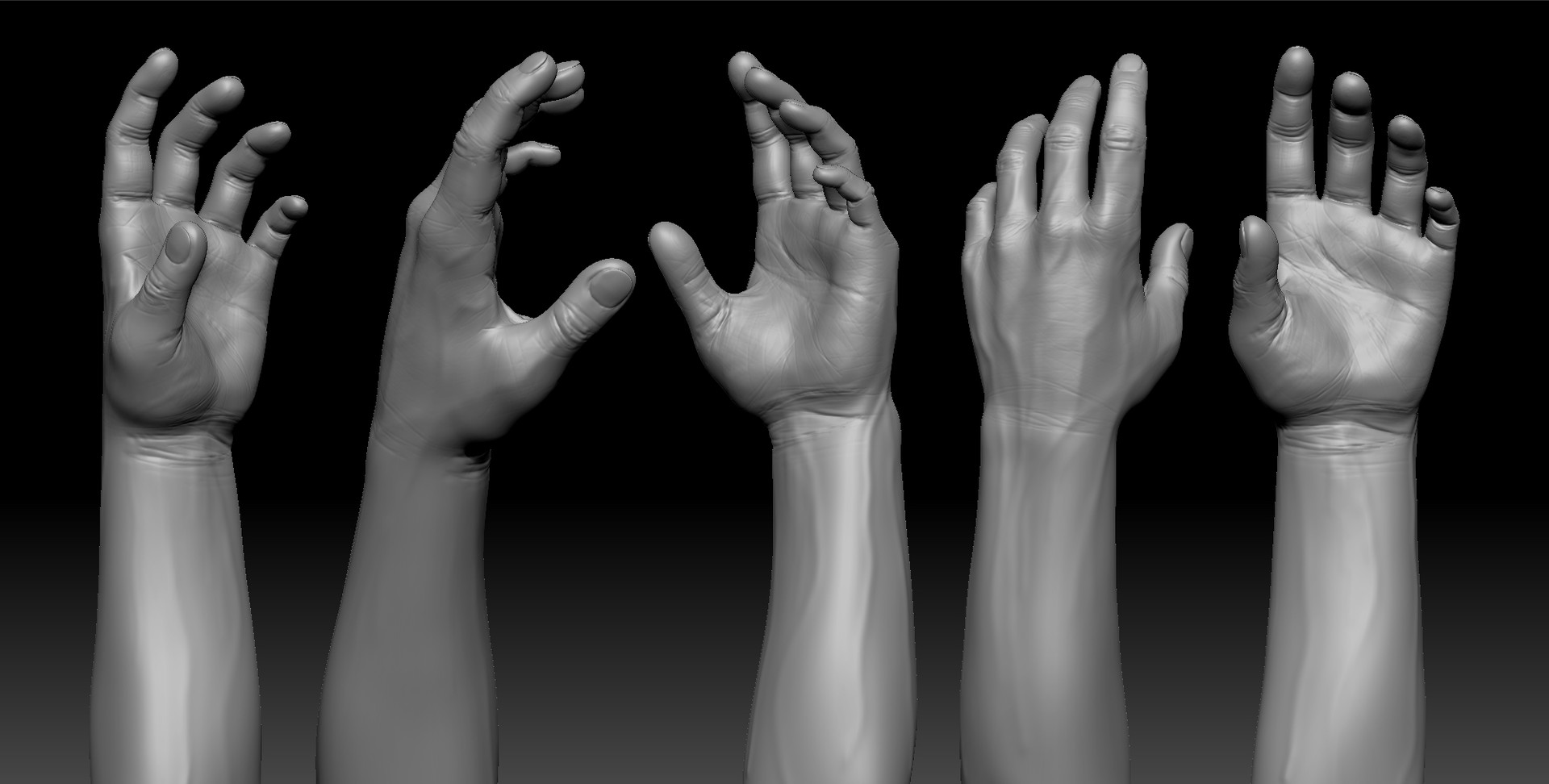 ArtStation - Arm studies