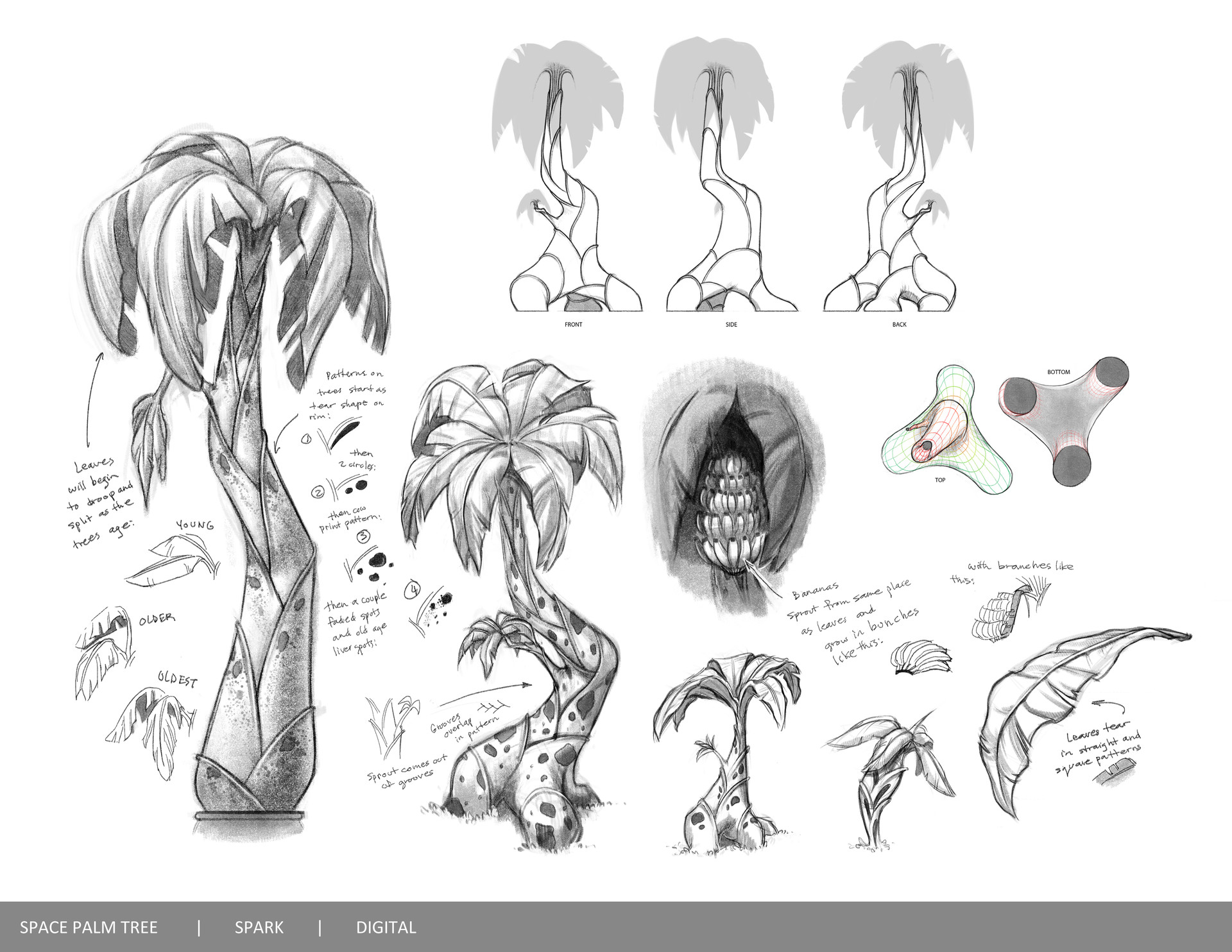 ArtStation - Space Palm Tree Concept