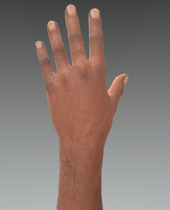 ArtStation - Textured Hand