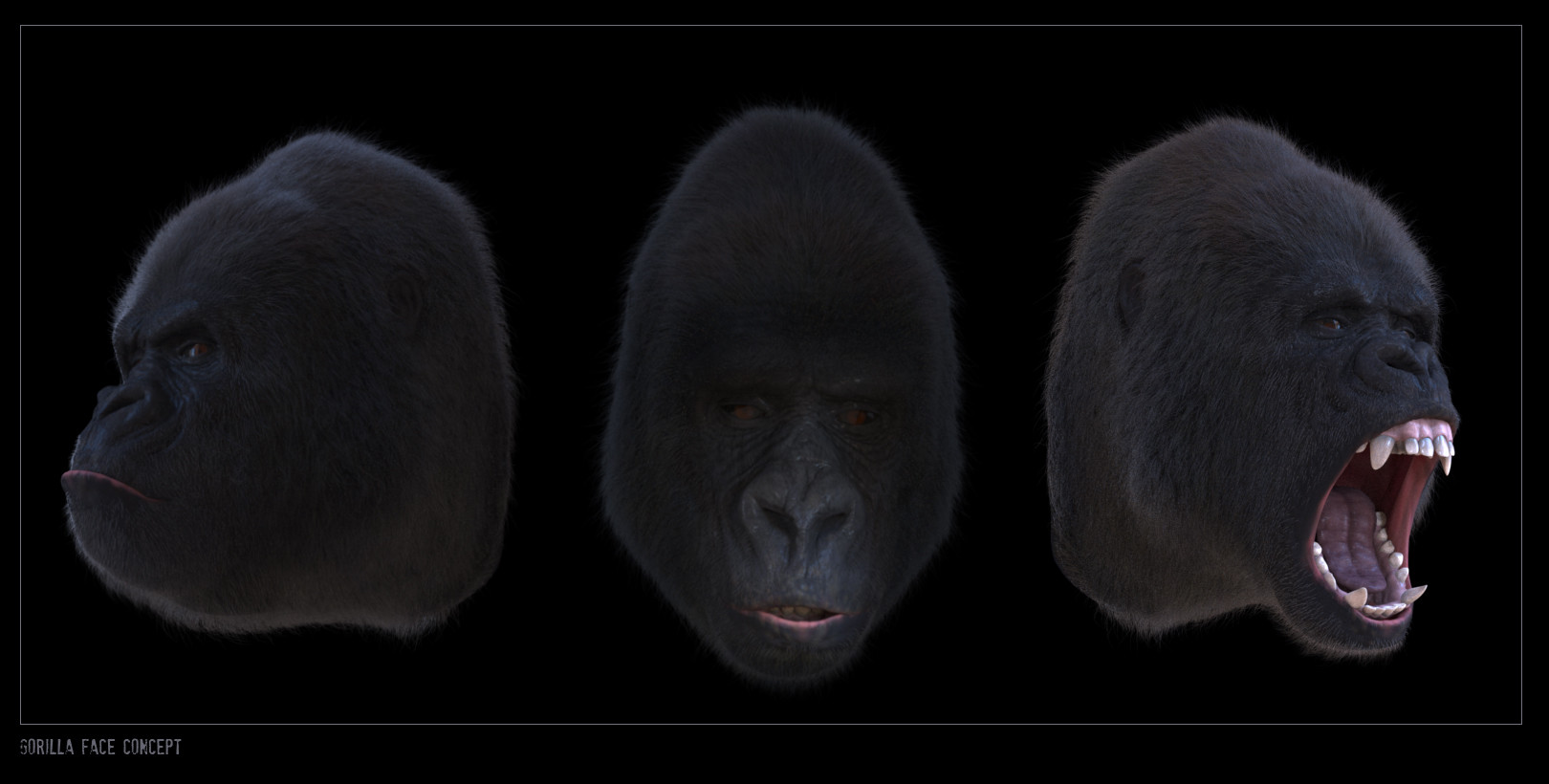 ArtStation - Gorilla development, Aritz Basauri