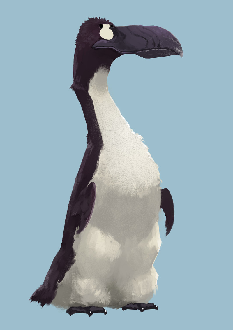 yu-yiming-.jpg (800×1132)-花瓣网