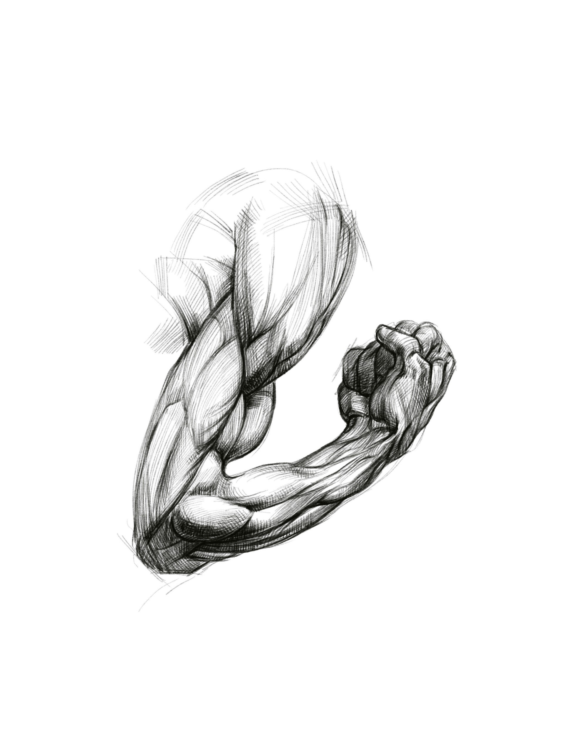 ArtStation - Drawing hand