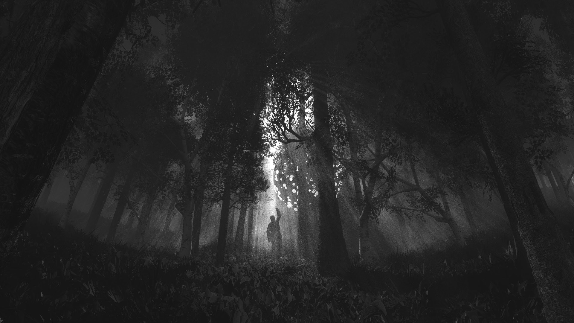 ArtStation - MIDNIGHT FRIEND