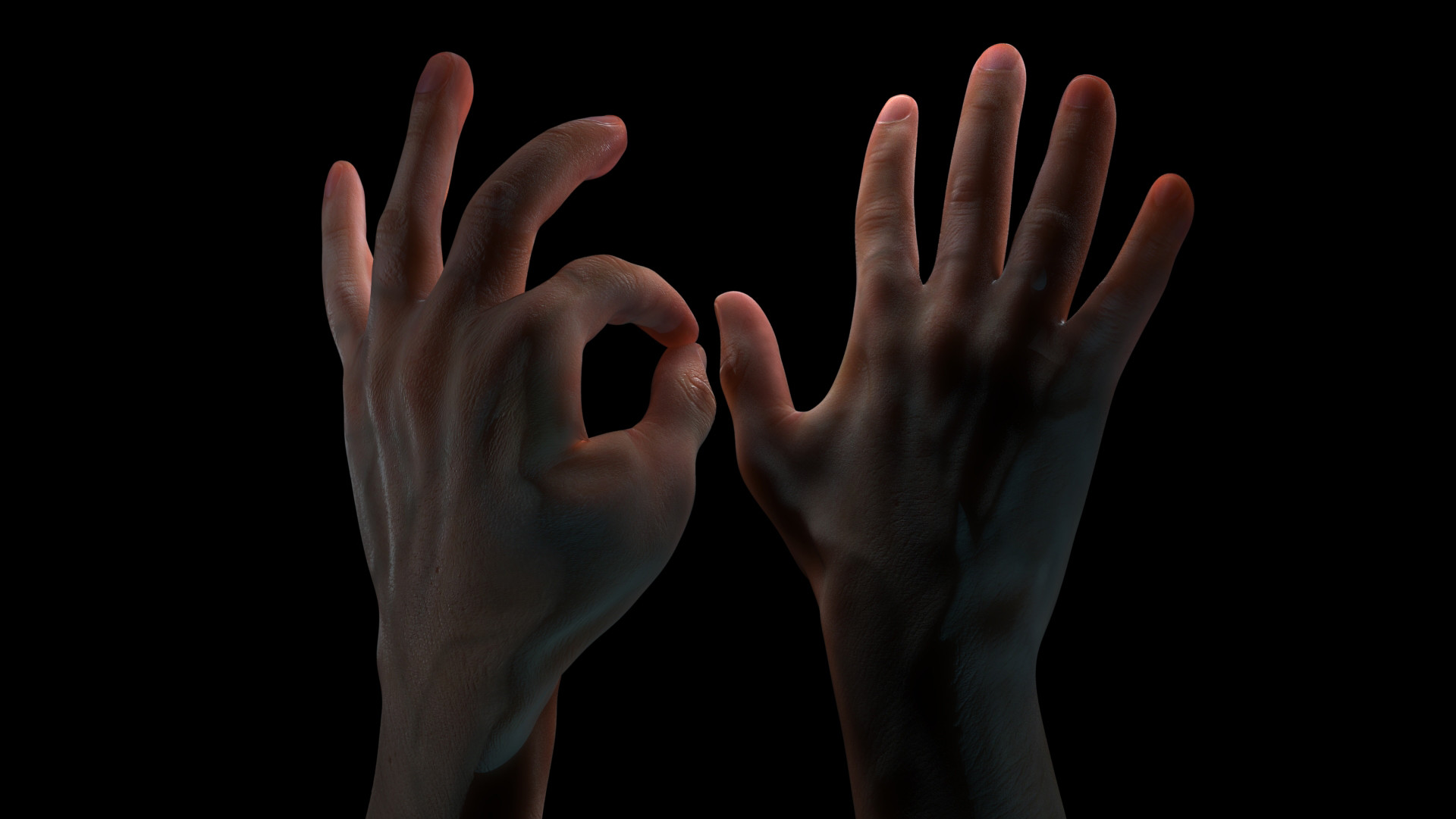 ArtStation - Photogrammetry Hands