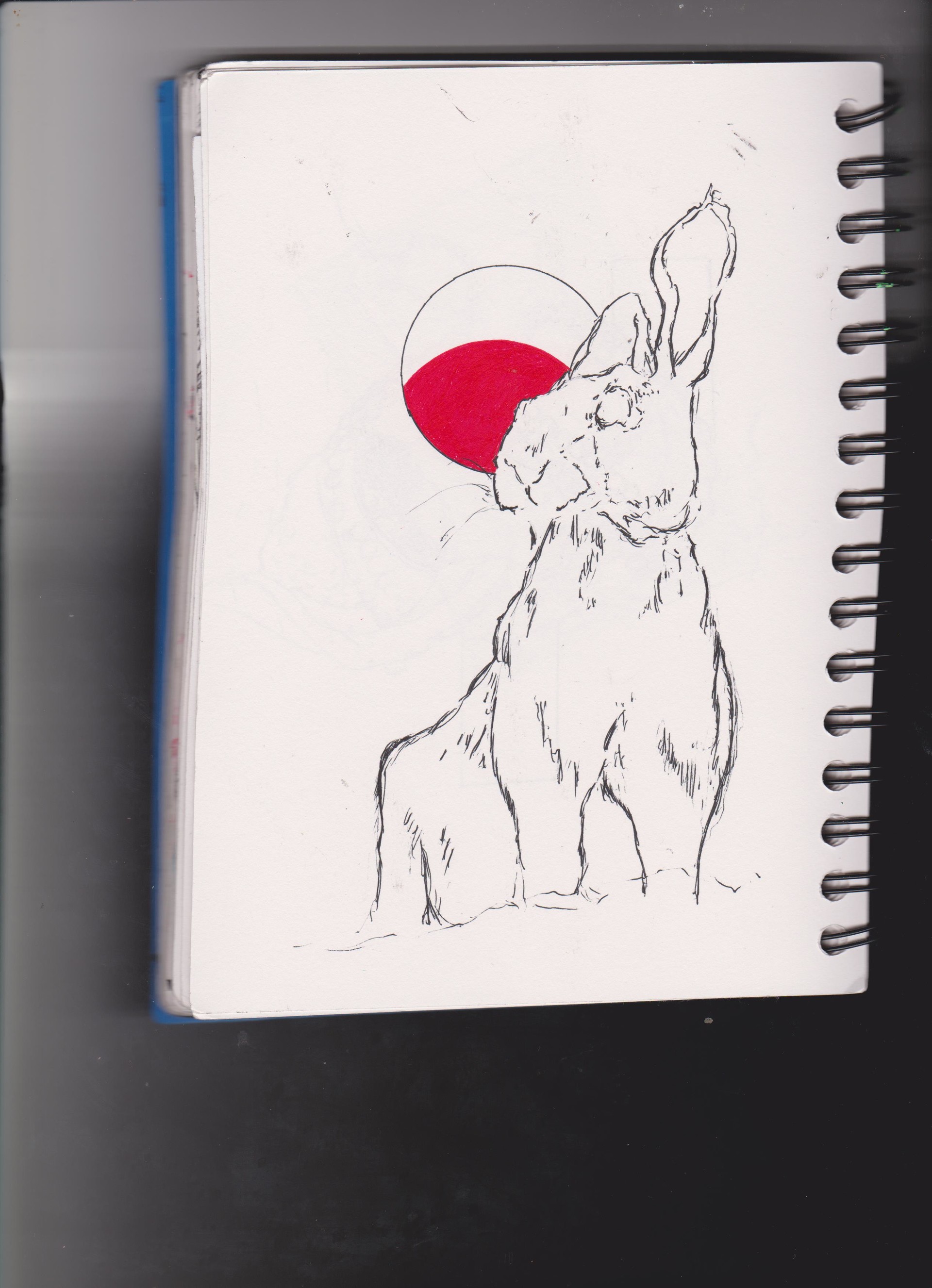 ArtStation - Animal Studies