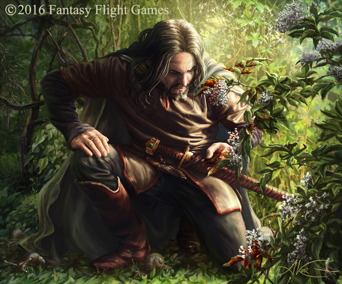 fantasy ranger artwork