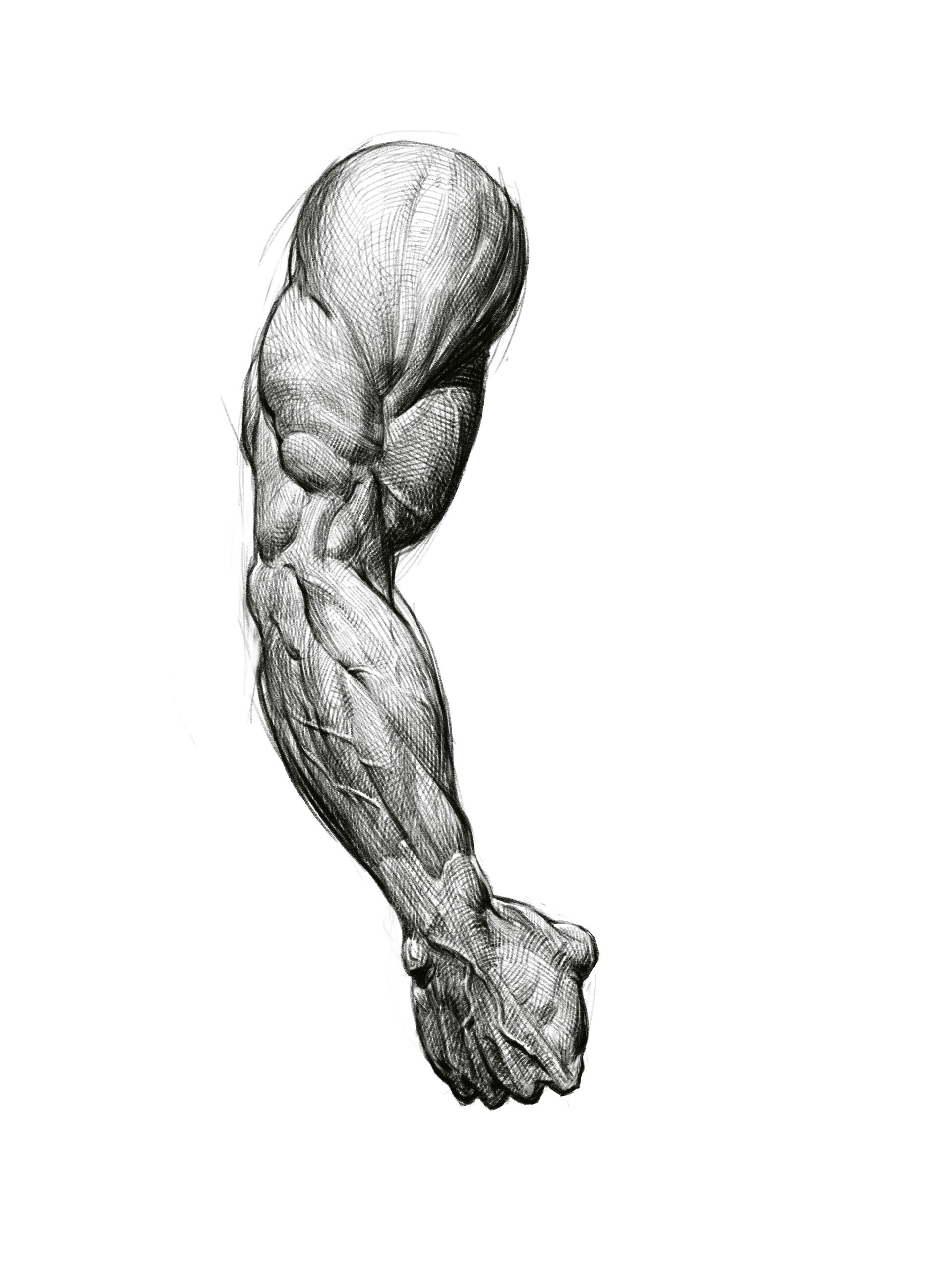 how to draw realistic arms