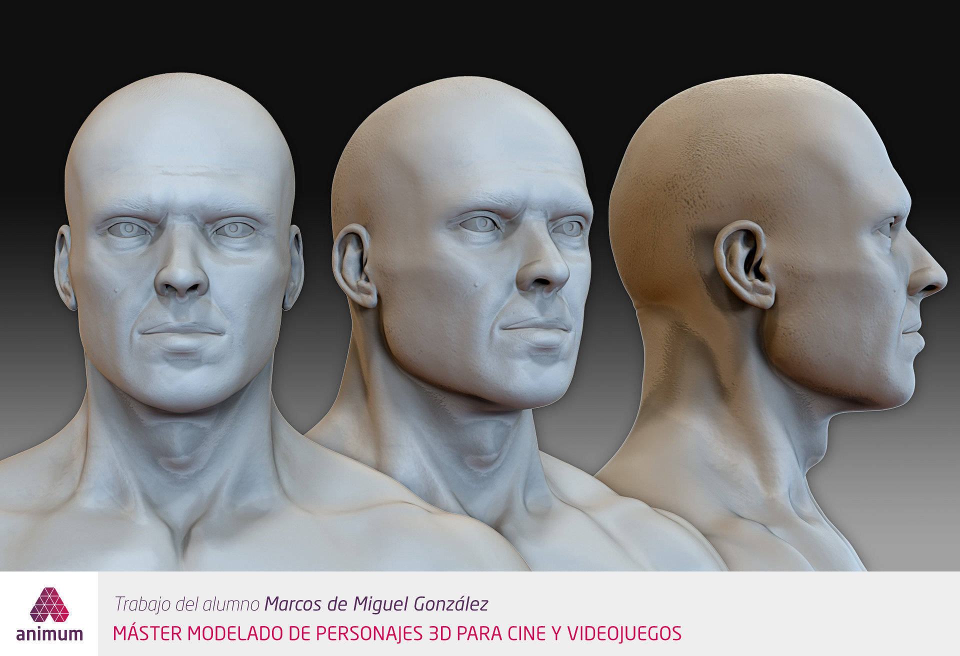 Animum Creativity Advanced School - Razas | Modelado anatómico