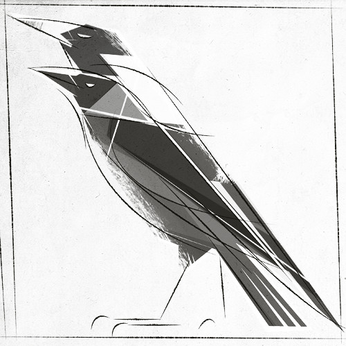 ArtStation - Corvidae