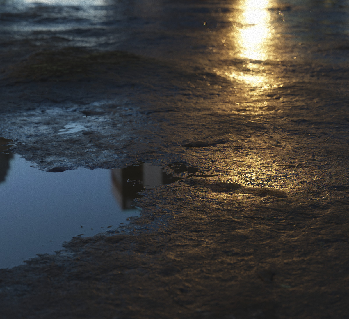 ArtStation - MuddyGround