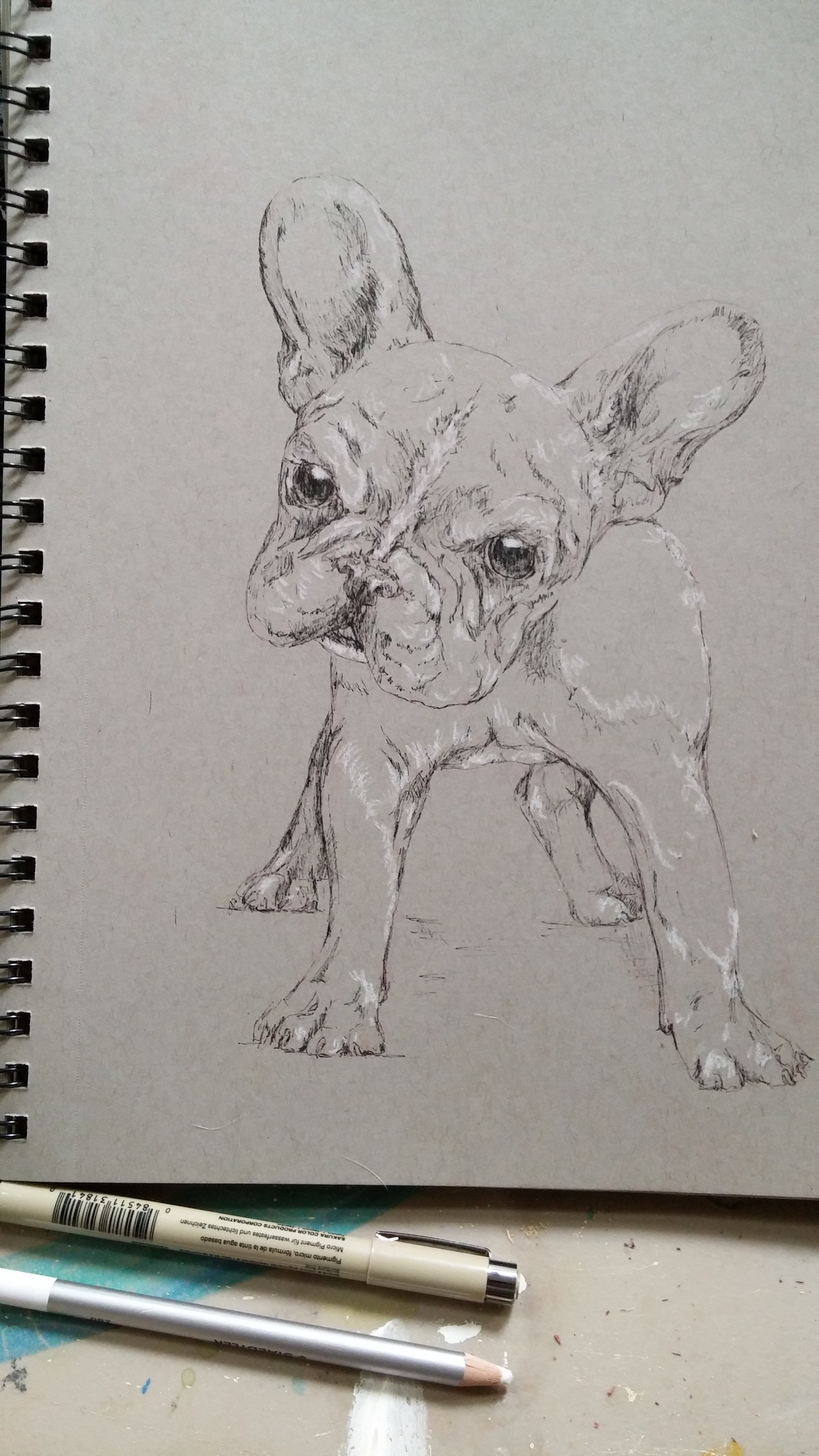 ArtStation - Pup sketch