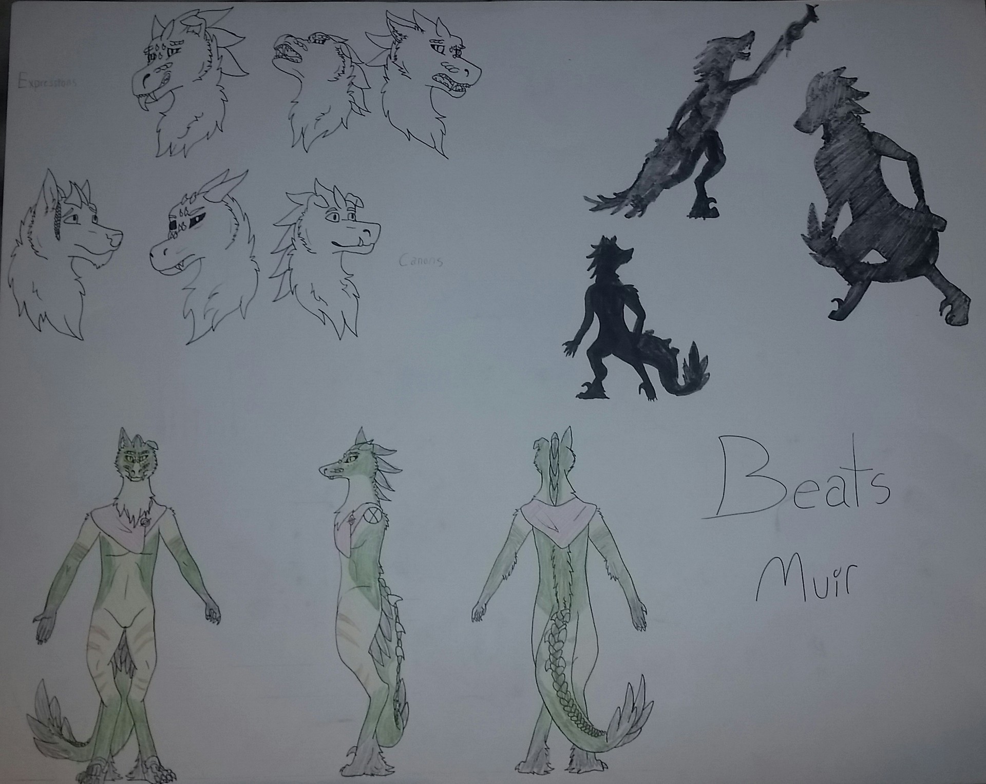 ArtStation - Beats Muir Character Sheet