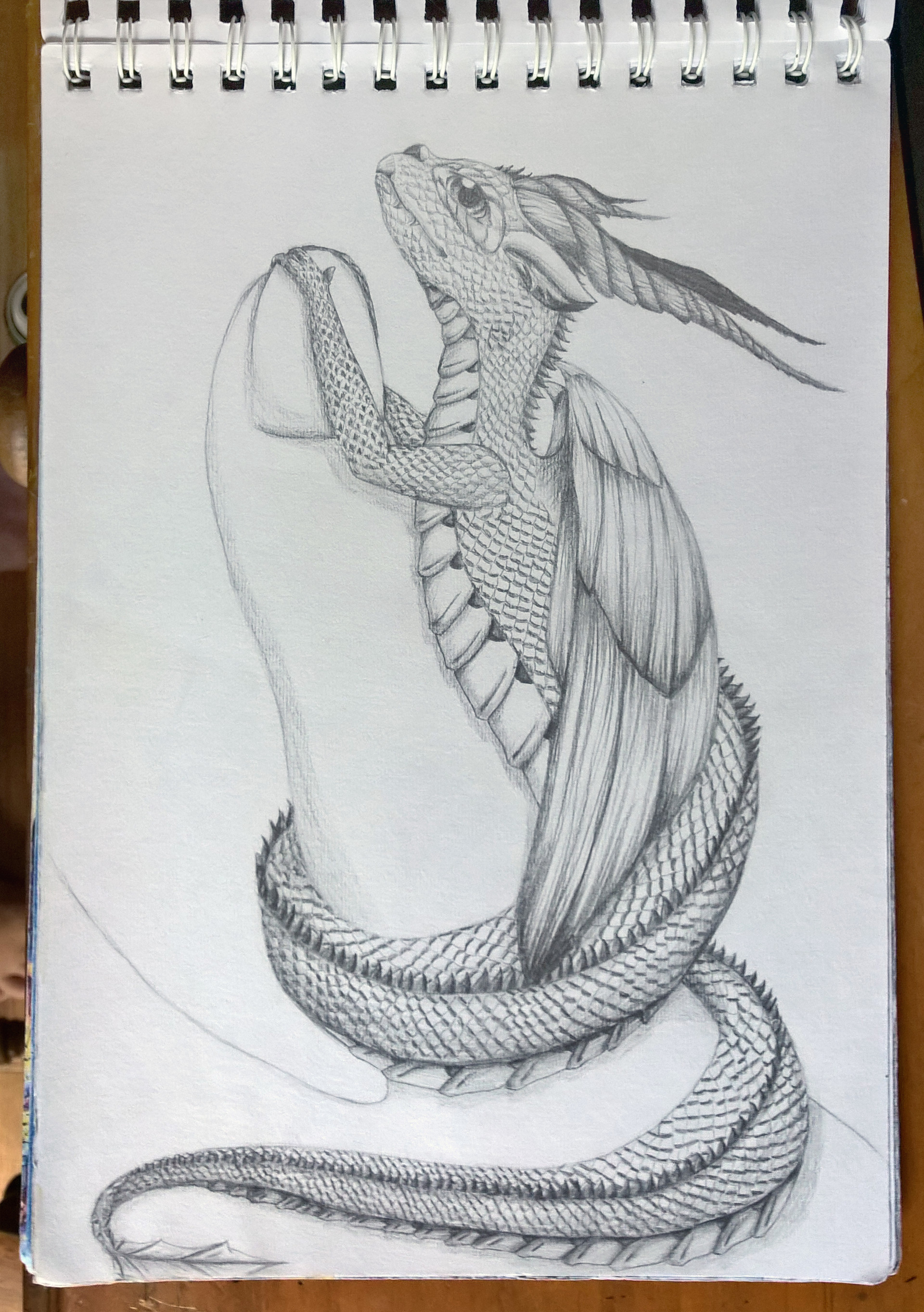 ArtStation - Tiny Dragon