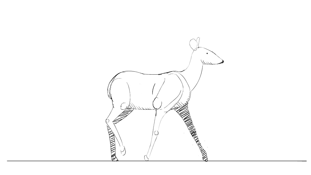 ArtStation - 2D animation exercise