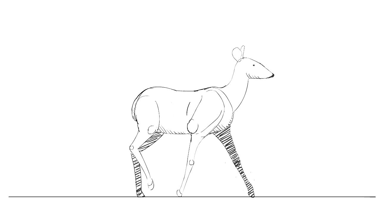 ArtStation - 2D animation exercise, Eléonore Legrade