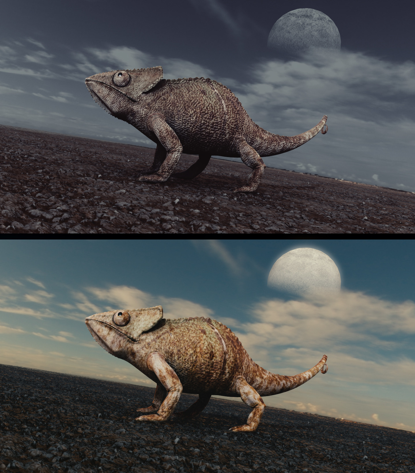 ArtStation - Chameleon Day and Night