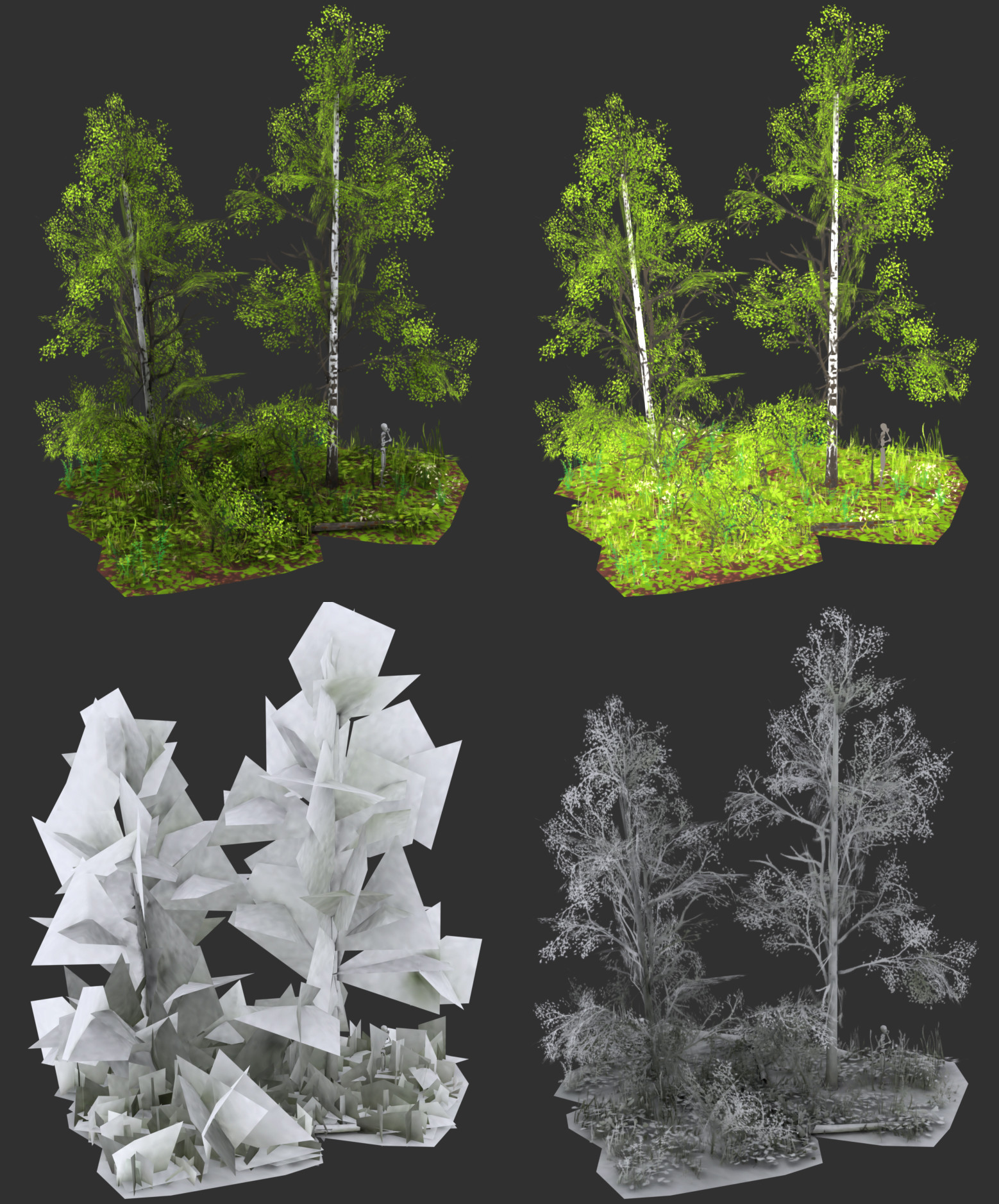 Tom Deerberg - Research - Birch Forest 2