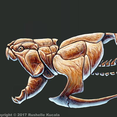 dunkleosteus terrelli skeleton