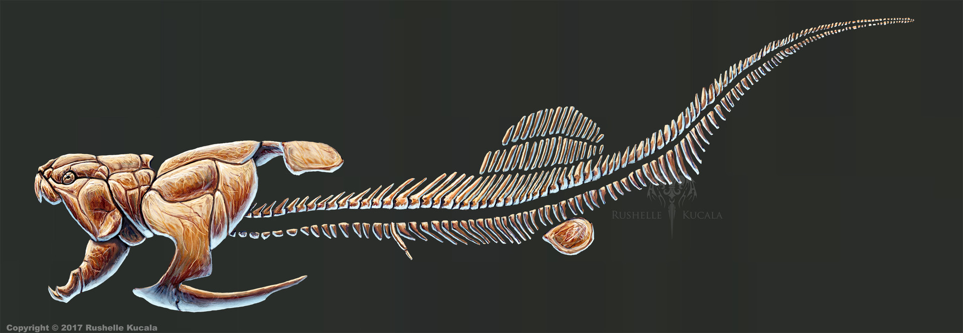 dunkleosteus skull side view