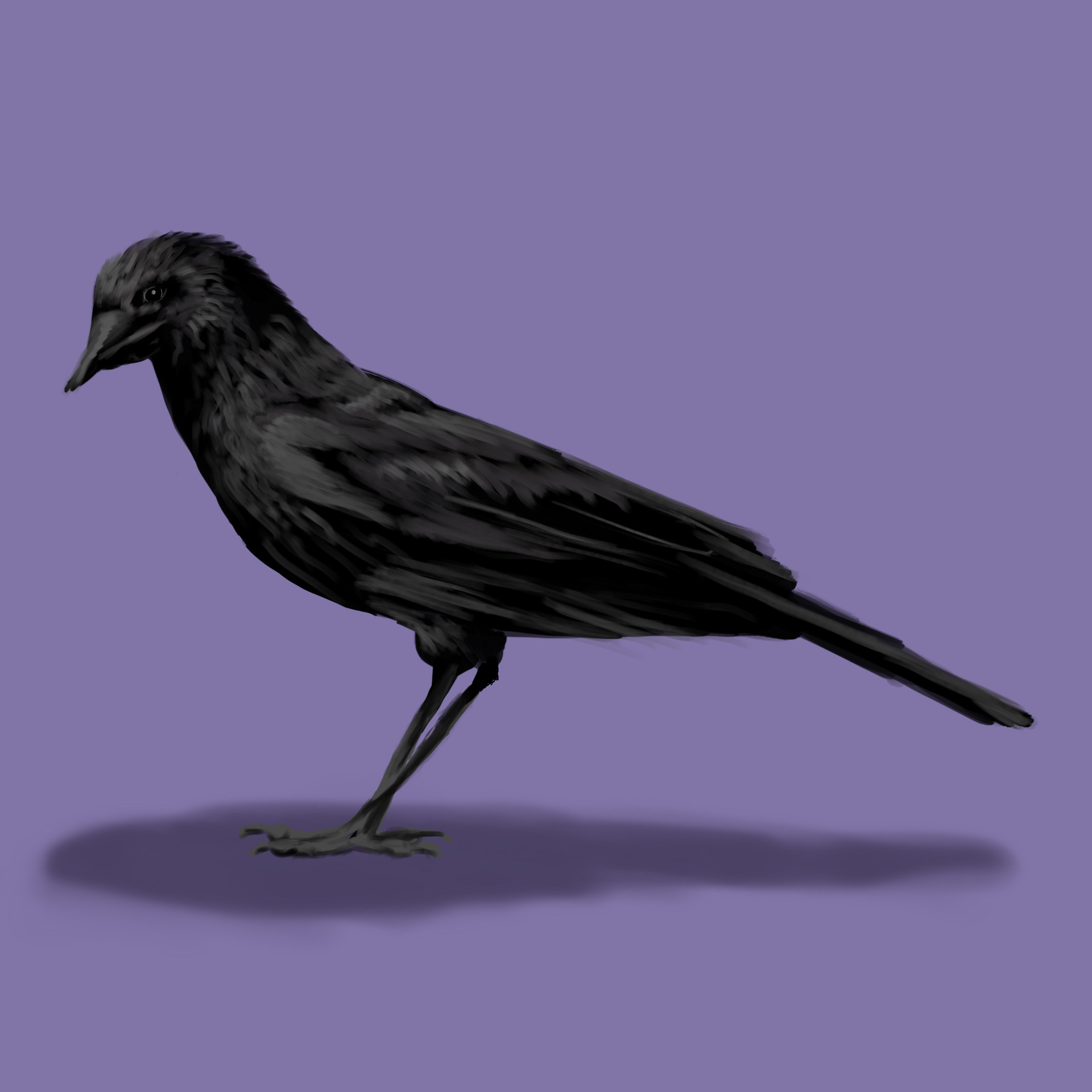 ArtStation - Dark Crow - Day 69