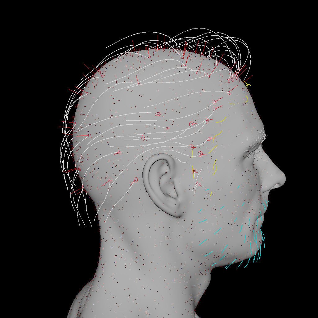 Krystal Sae Eua - X-Gen Male Hair Study