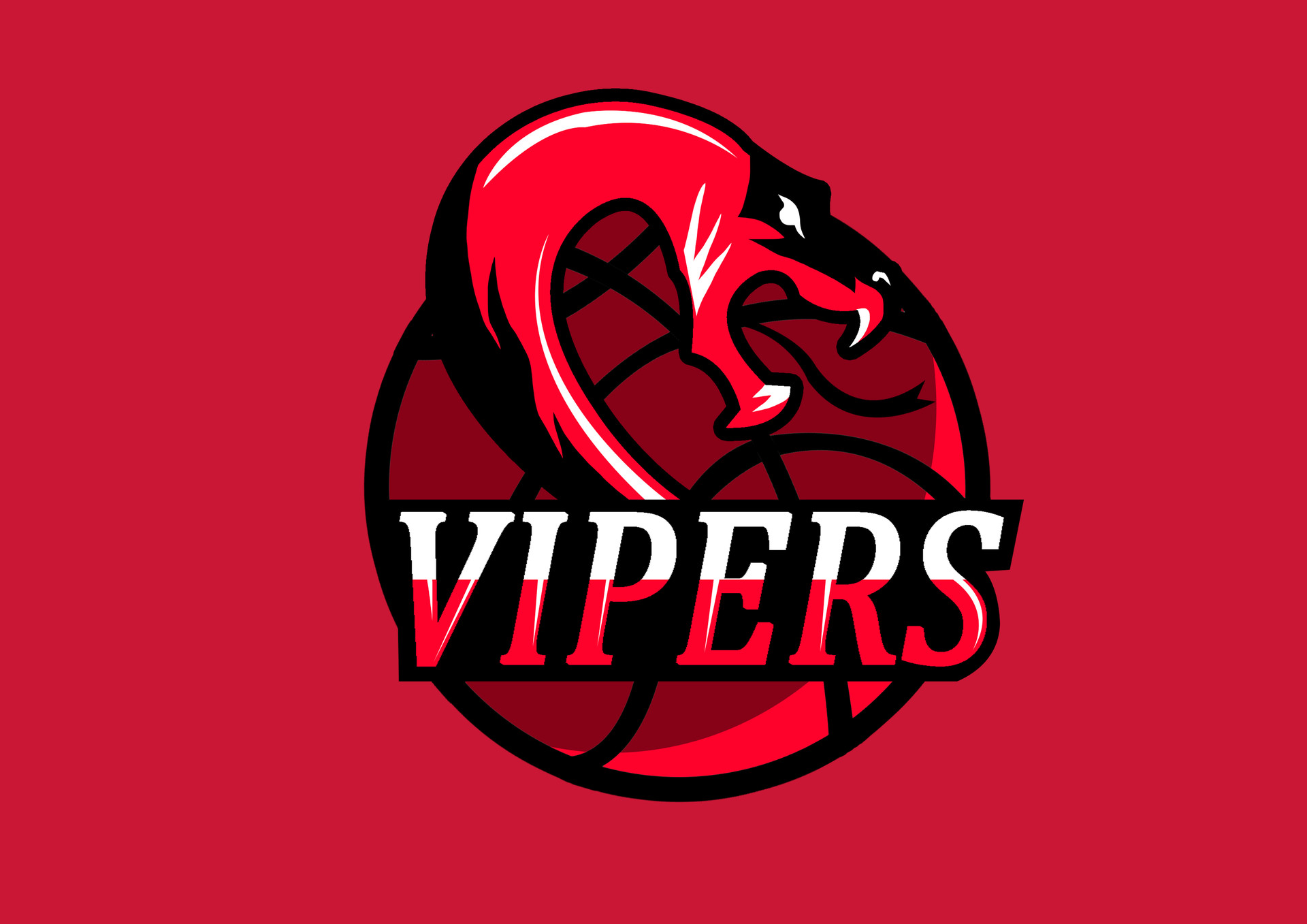 VEEJ ART - LOGO DESIGN