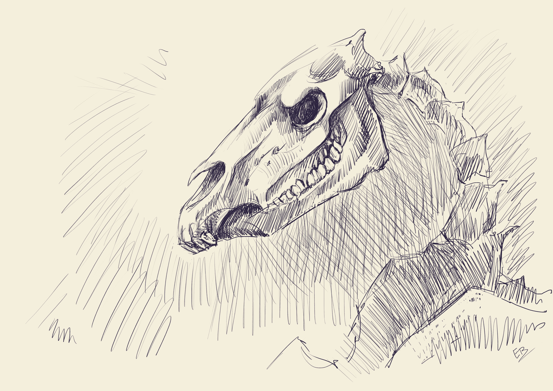 how to draw a horse skull