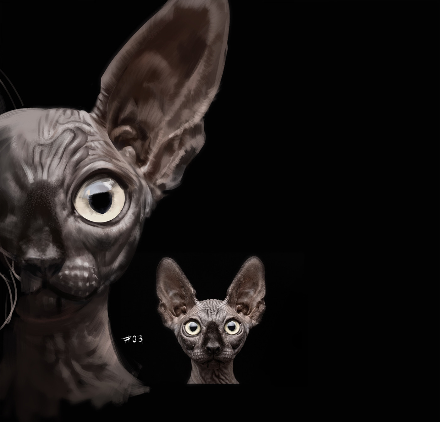 ArtStation - Hairless Cats