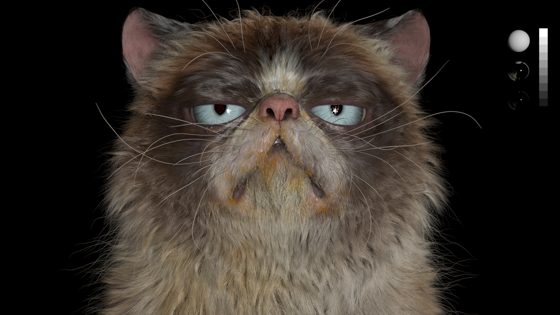 Yannick Vincent - Grumpy Cat
