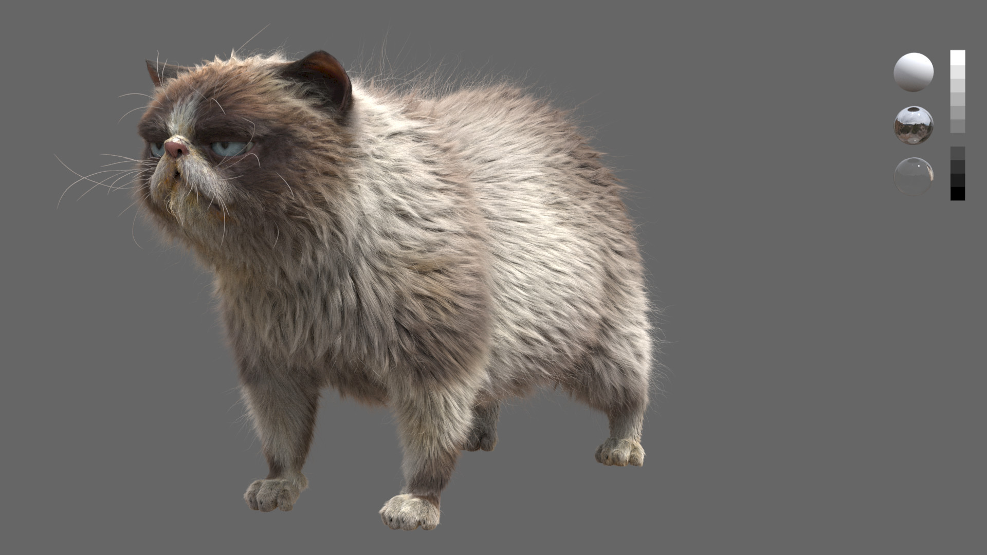 Yannick Vincent - Grumpy Cat