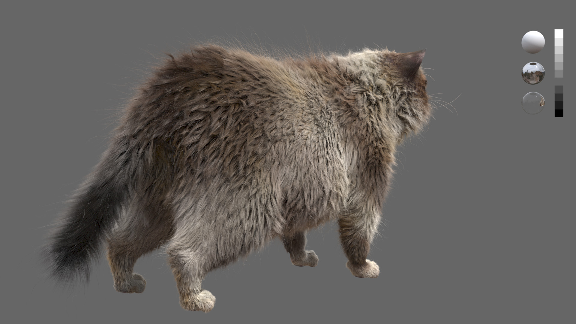 Yannick Vincent - Grumpy Cat