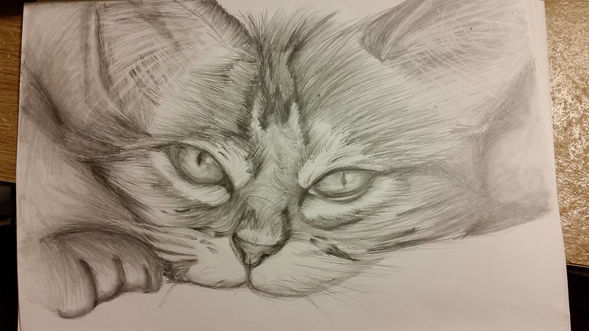 Matthew Lee - Doodles