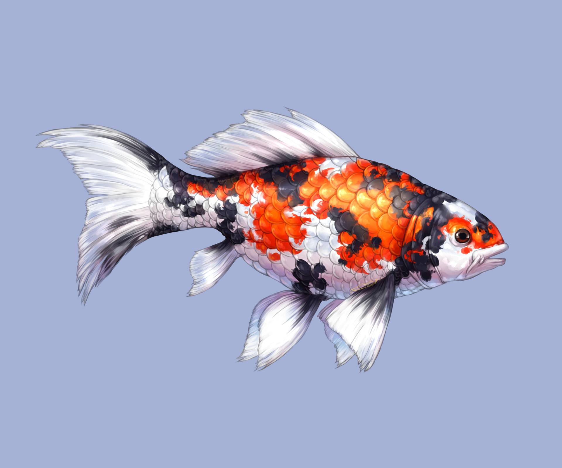 ArtStation - Koi Koi