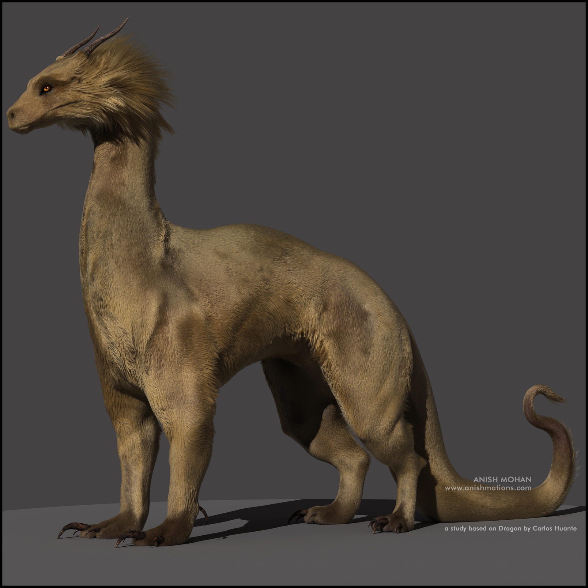 Anish Mohan - Dragon