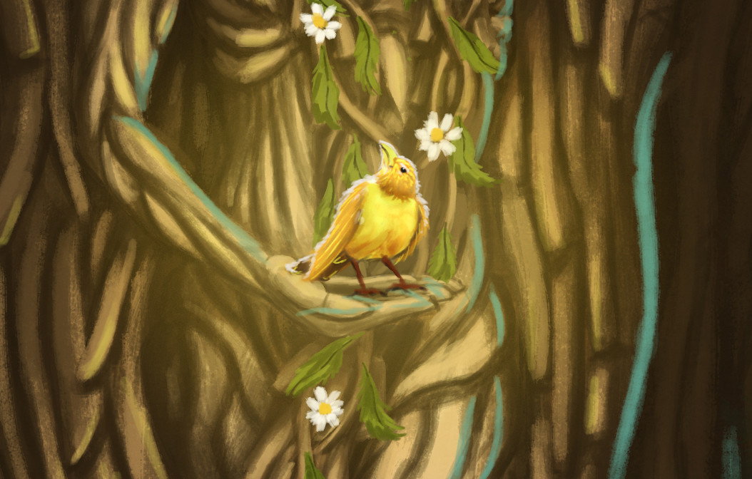 KOGE . - Rare species