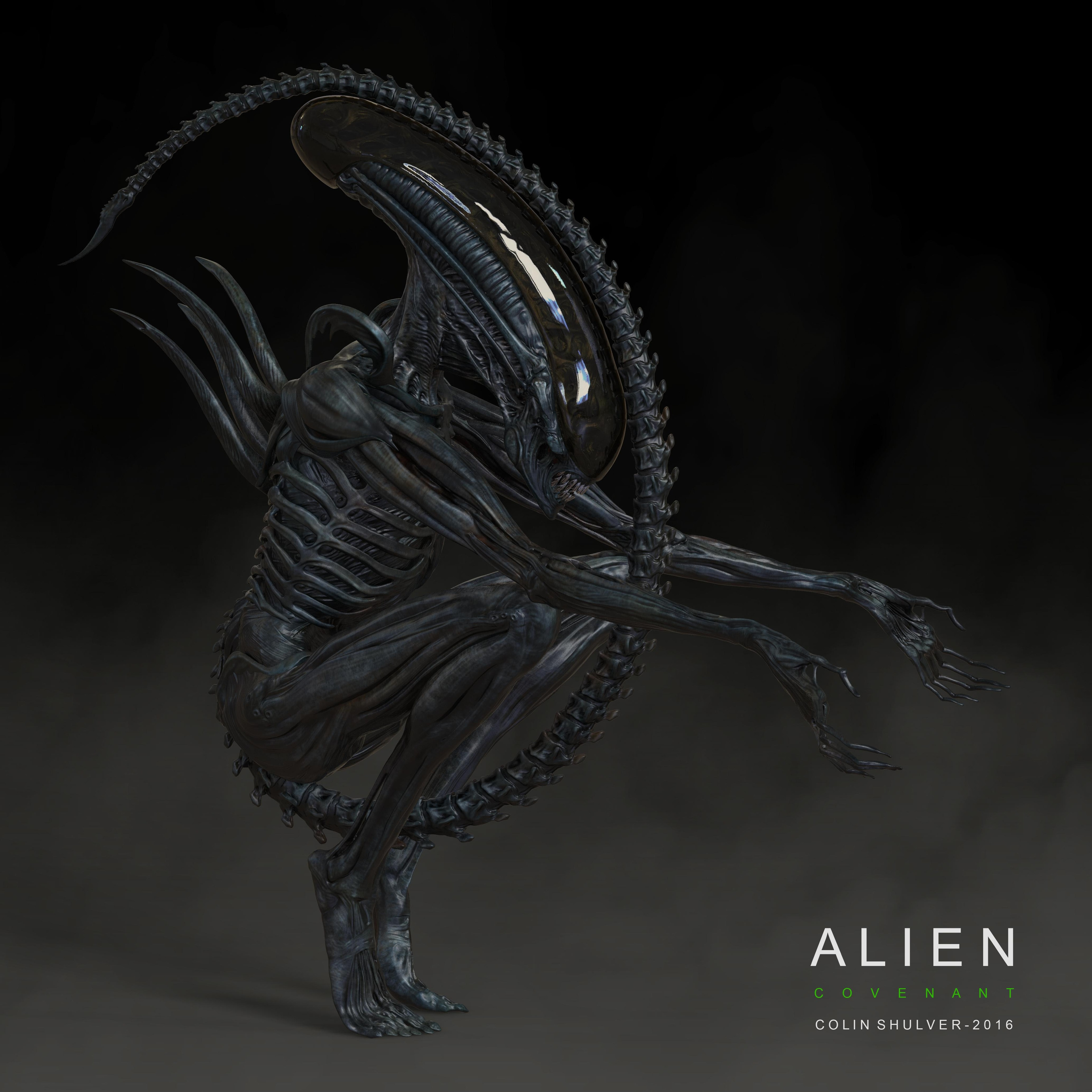 COLIN SHULVER - Alien Covenant