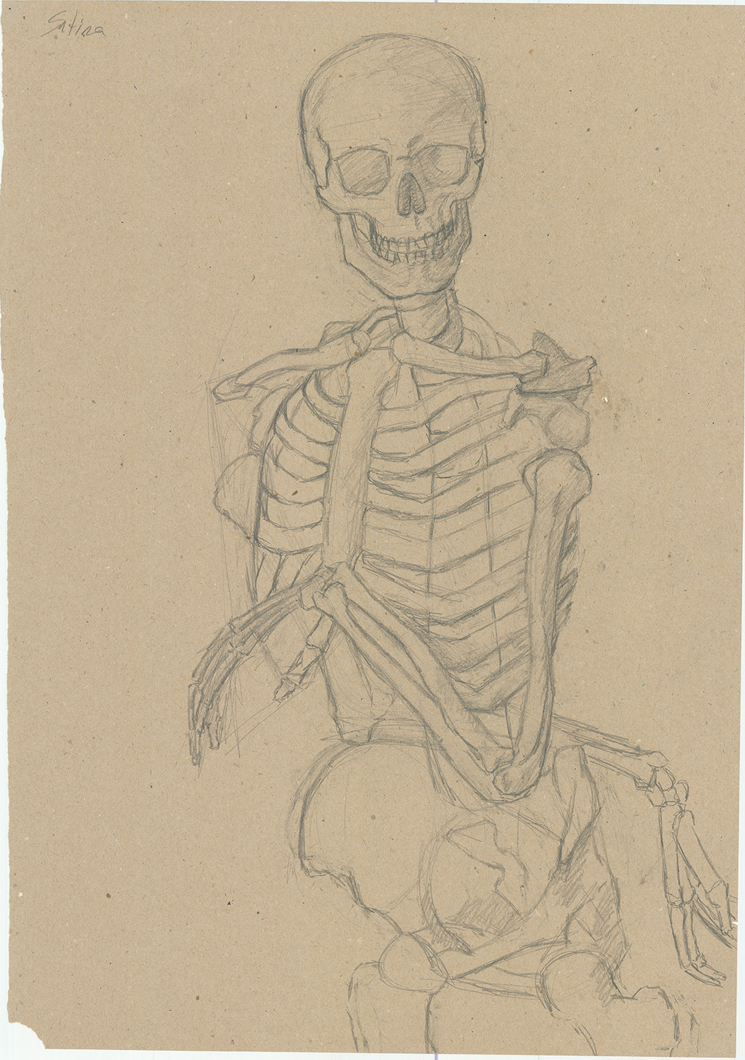 ArtStation - Skeleton (Study)