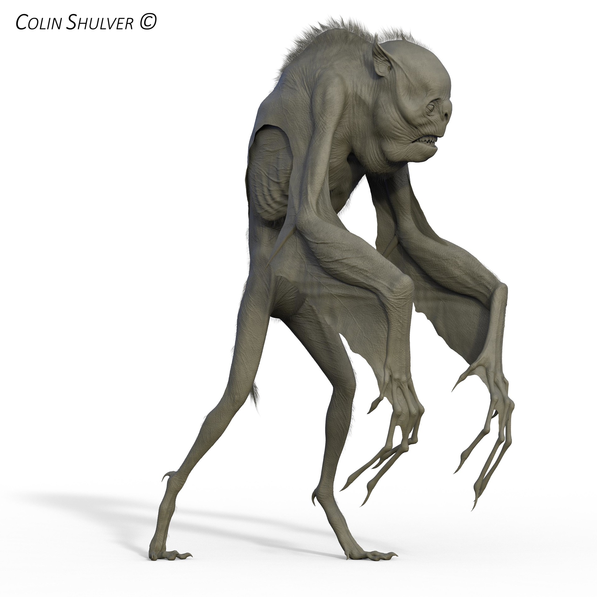 COLIN SHULVER - Personal Work - Creatures
