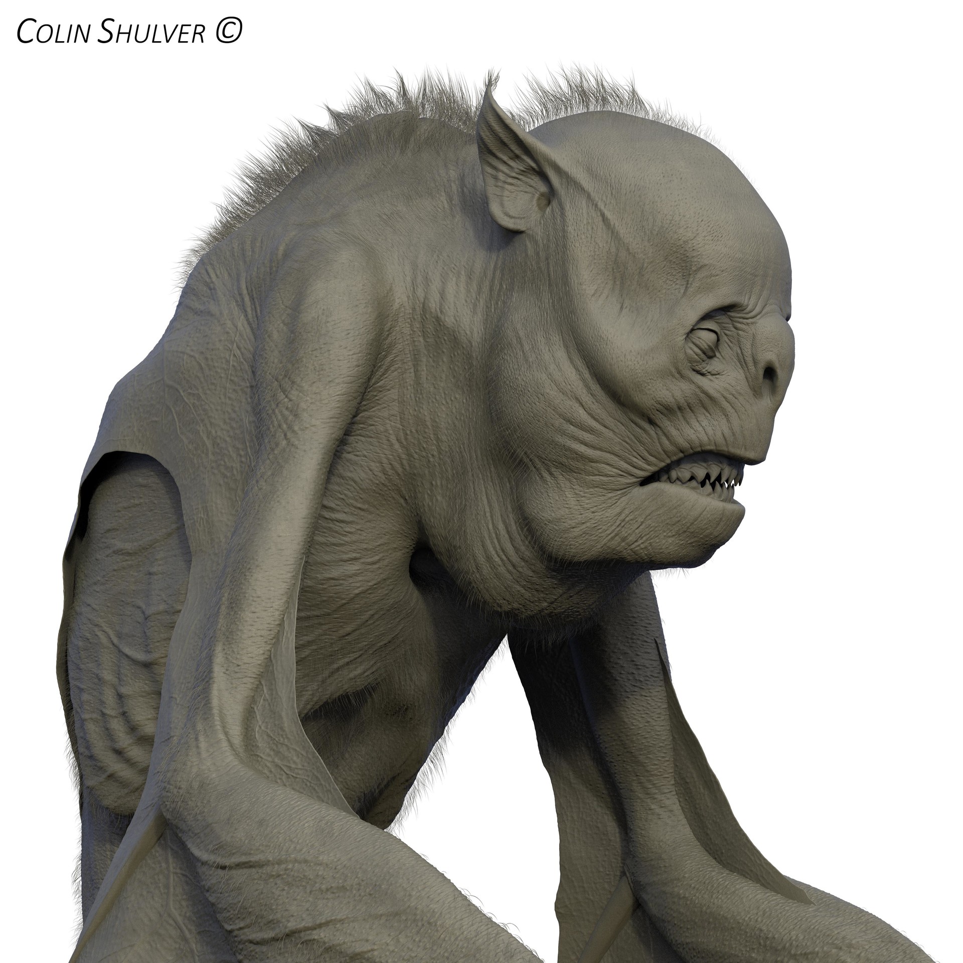 COLIN SHULVER - Personal Work - Creatures