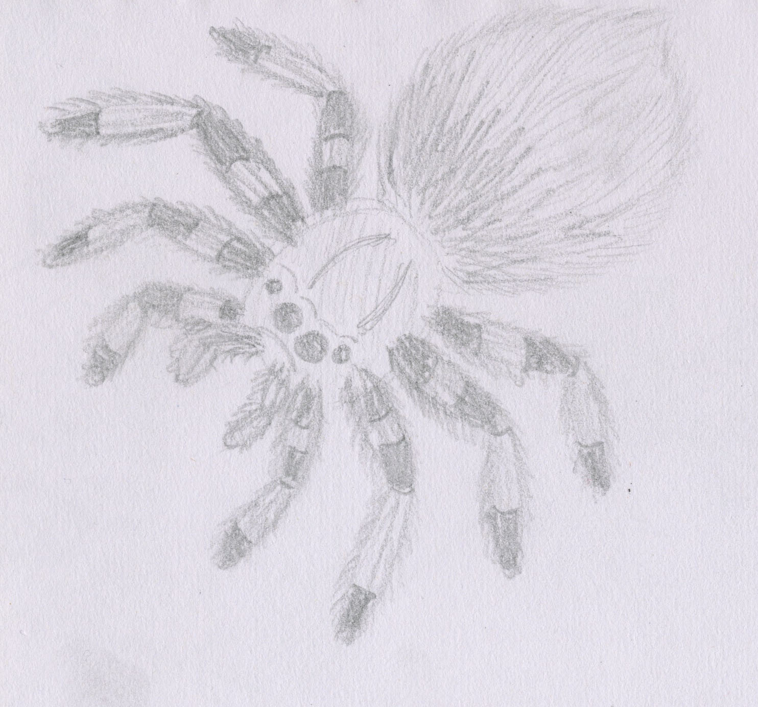 Hannah Bales - Games Design Year 1 Work