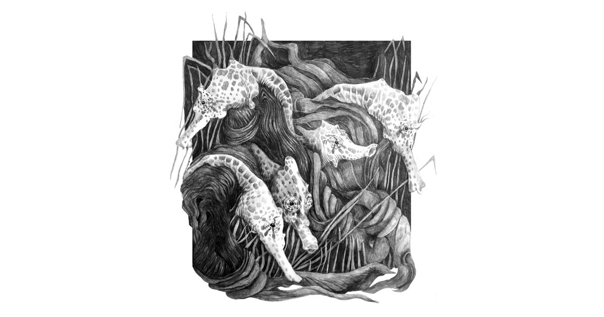 anne bateman - creatures of a parallel environment - the other coastline