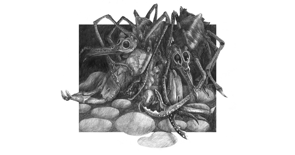 anne bateman - creatures of a parallel environment - the other coastline