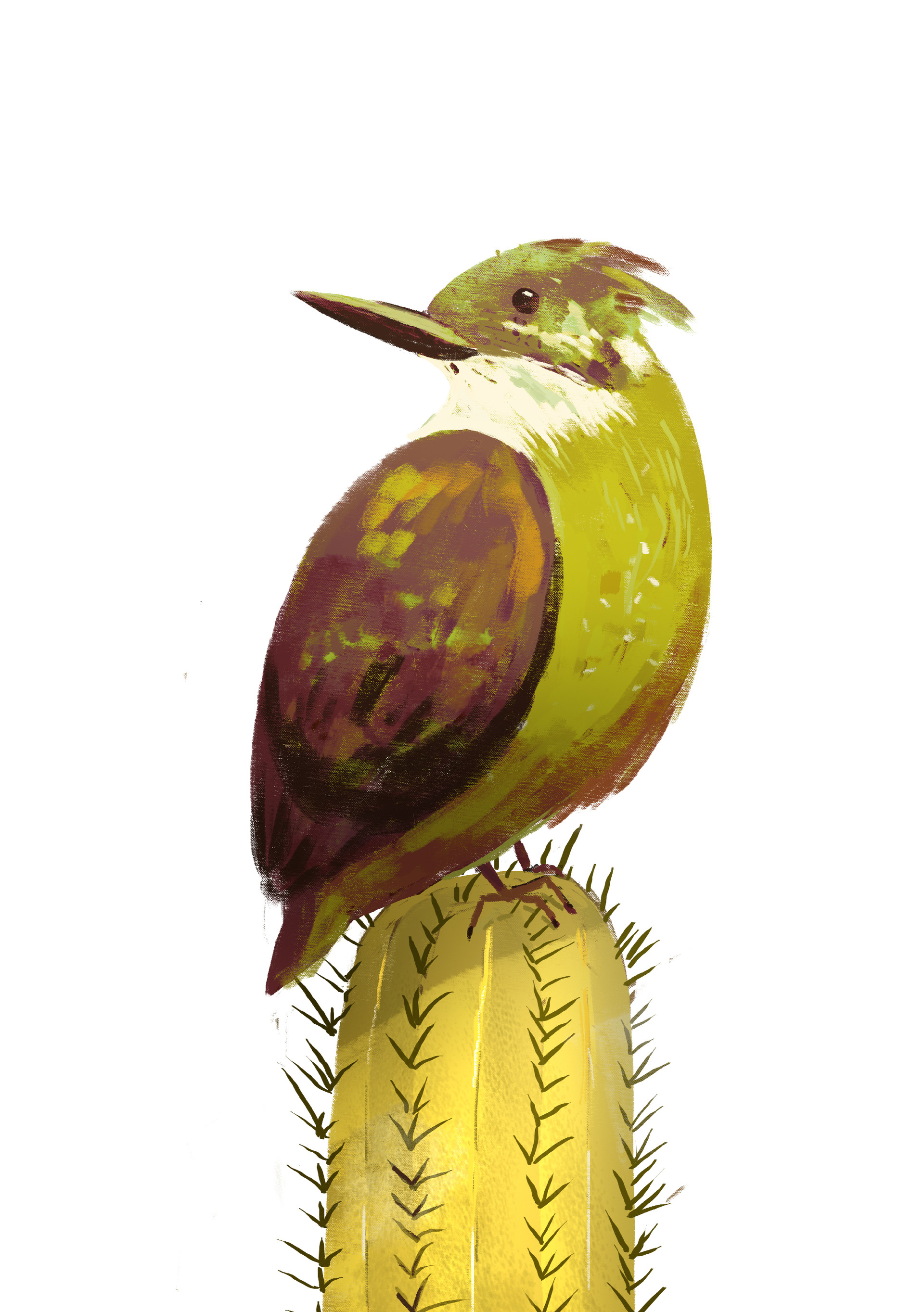 Richard Rücker - Yellow Cactus Bird