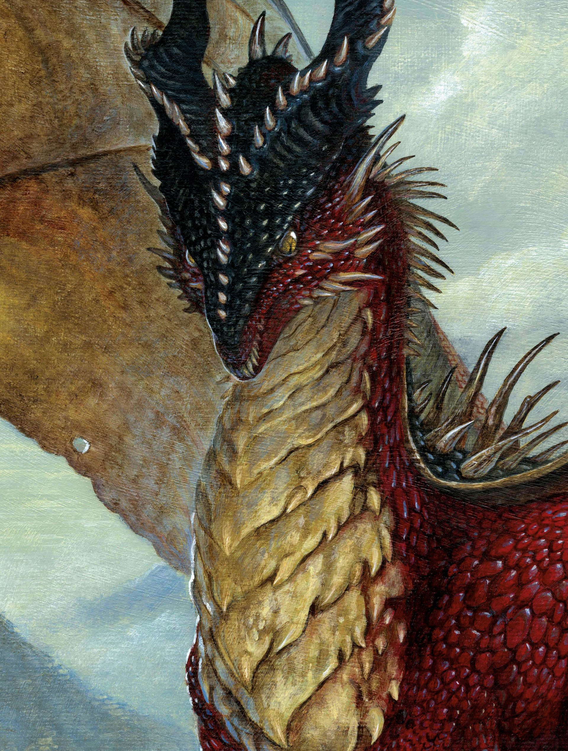 Loïc CANAVAGGIA - Dragon lecteur