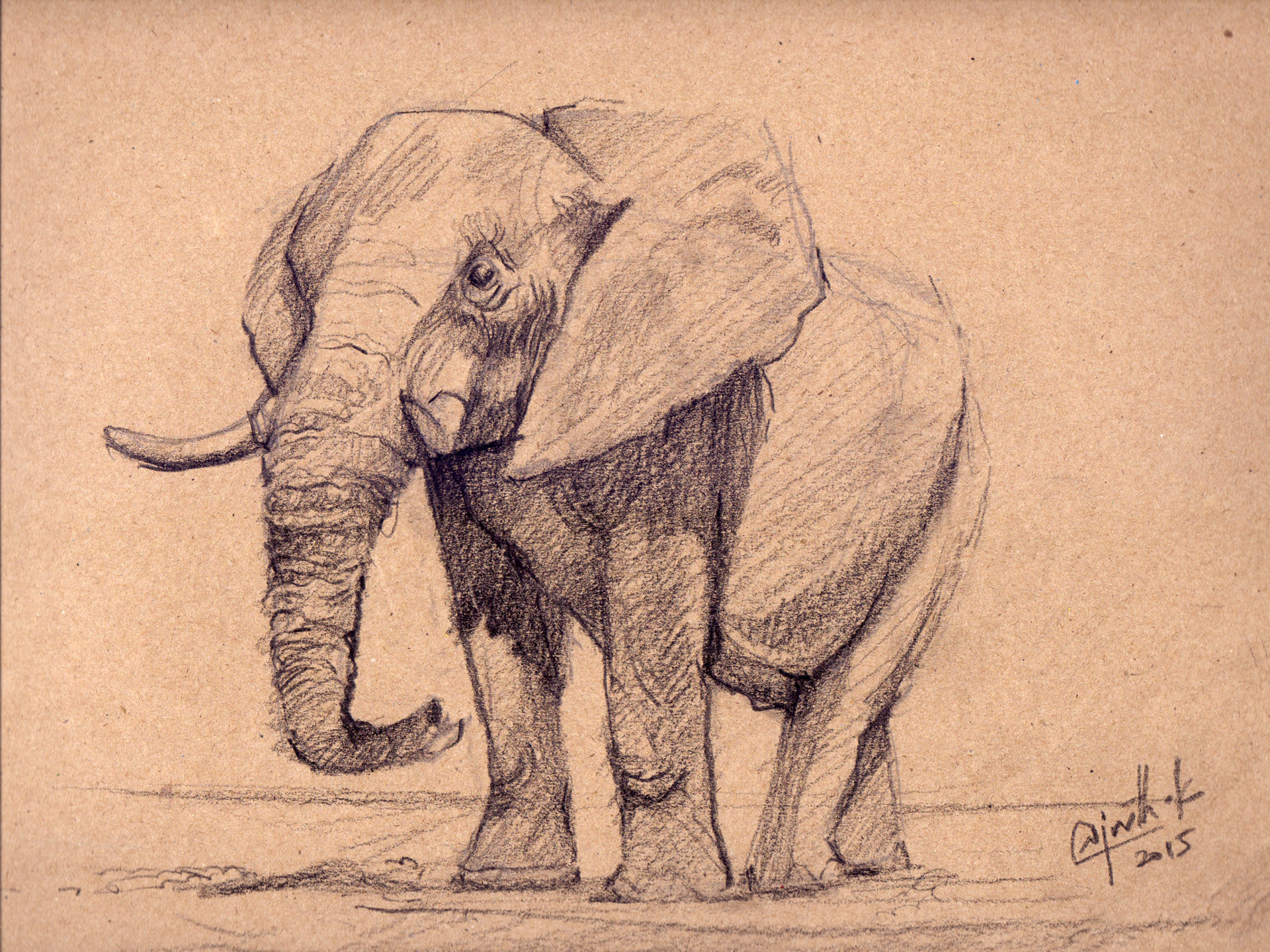 ArtStation - elephant