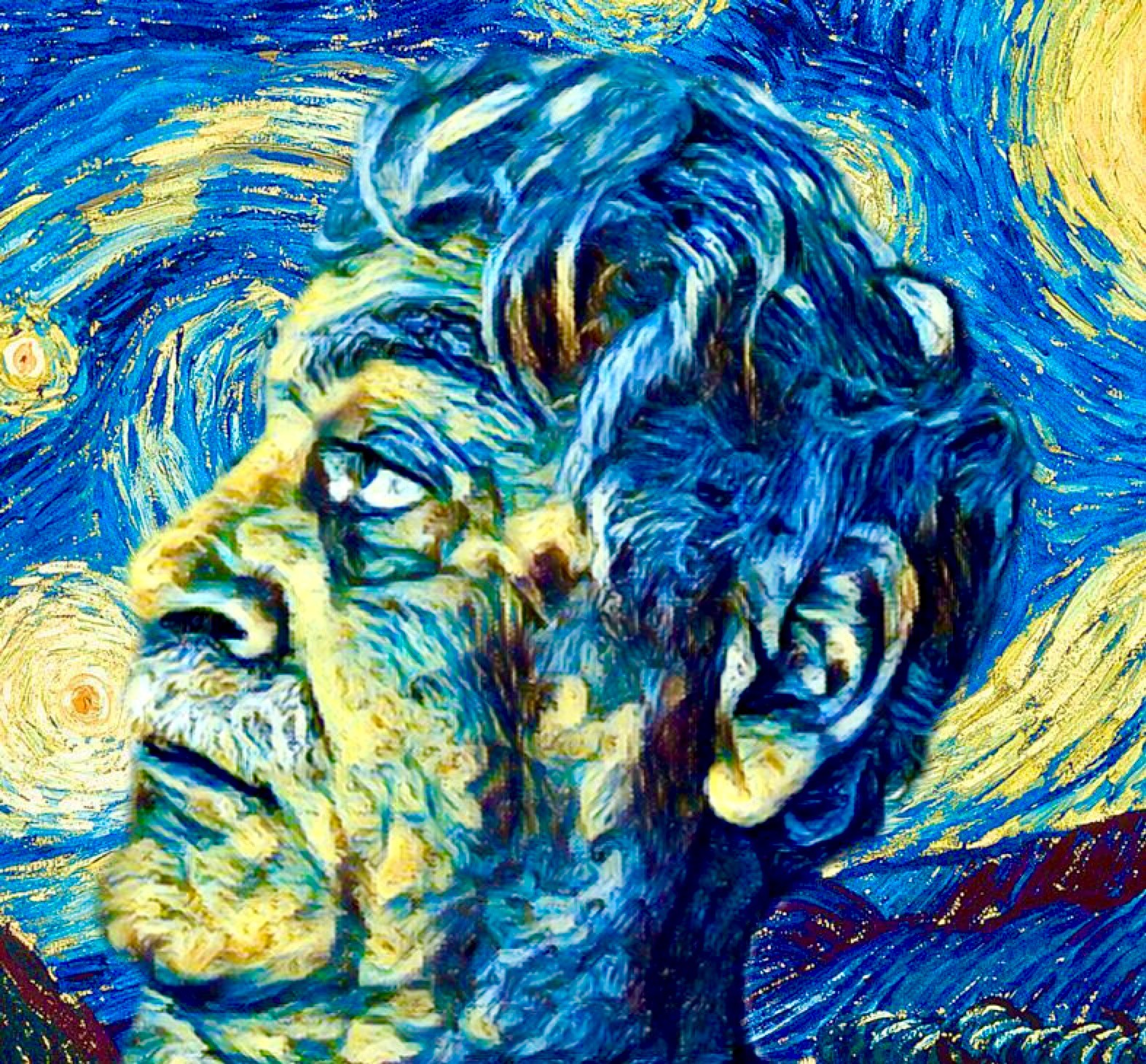 ArtStation - Veni Vidi Vincent