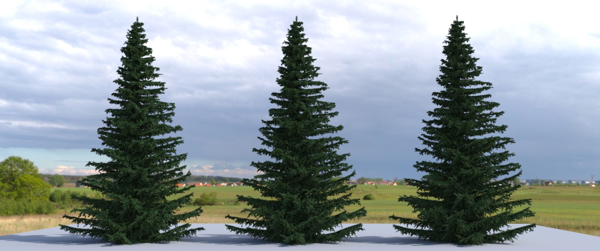 Anatolij Zykov - Pine-tree asset (Houdini Procedural Modeling)