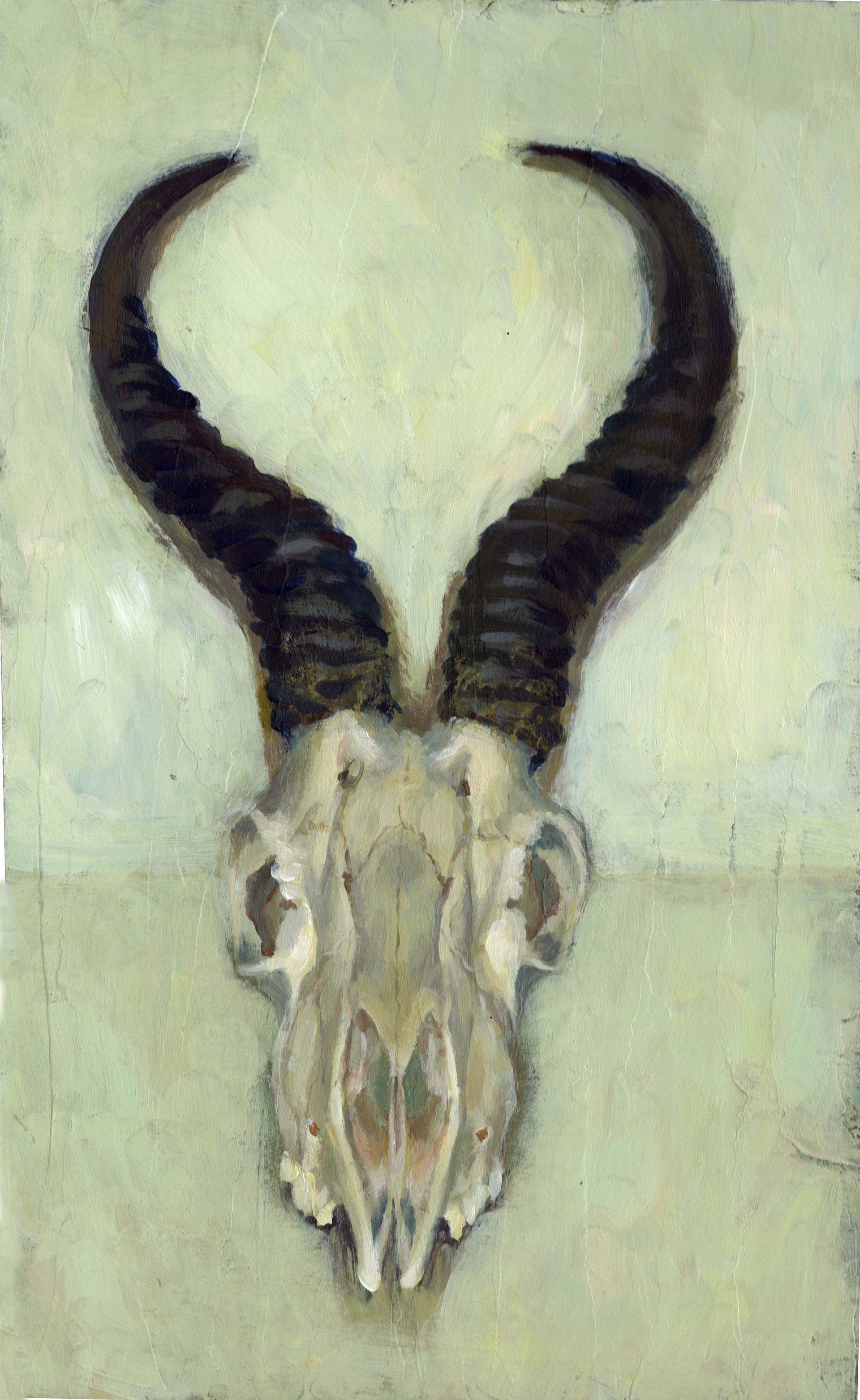 ArtStation - Springbok Still life