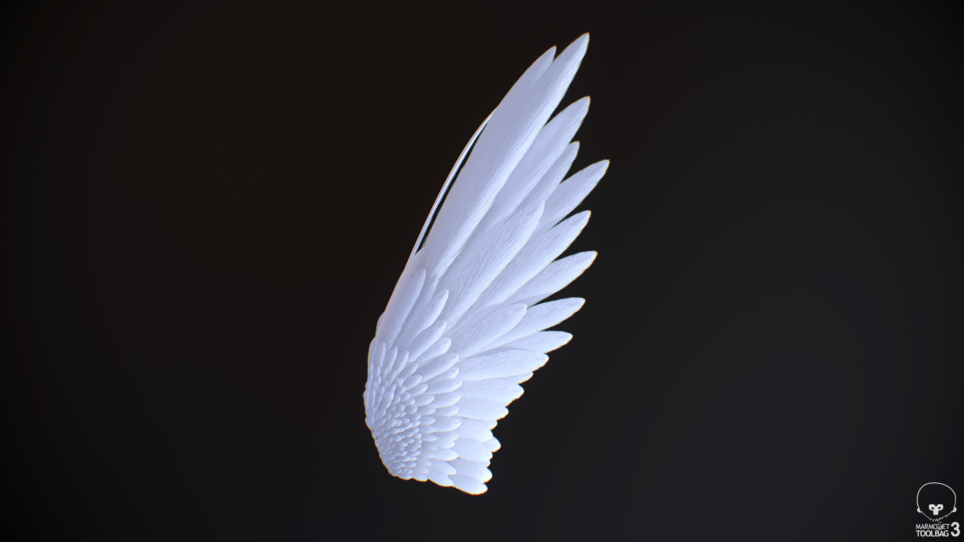 ArtStation - A Bird Wing