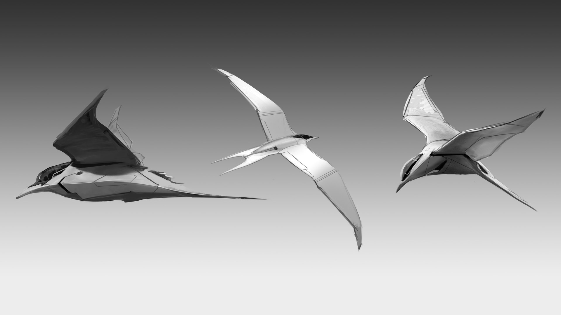 Sean Hsiao - Tern Class Expedition Craft